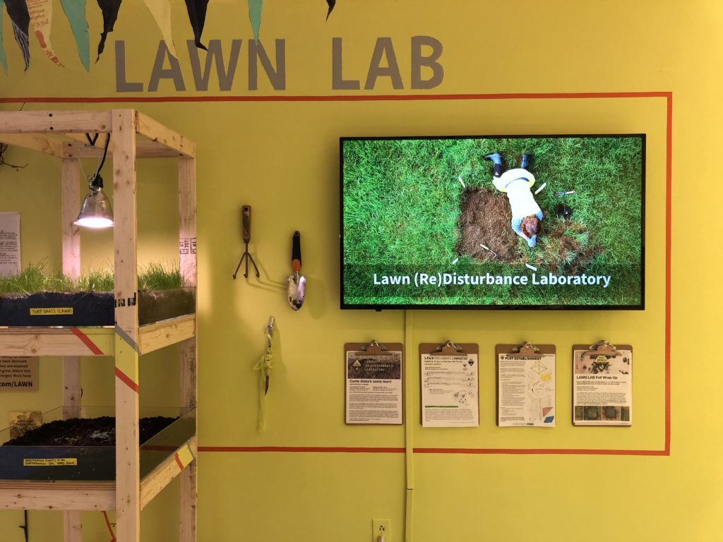 Lawn (Re)Disturbance Laboratory – A collaboration with seeds, time, and ...