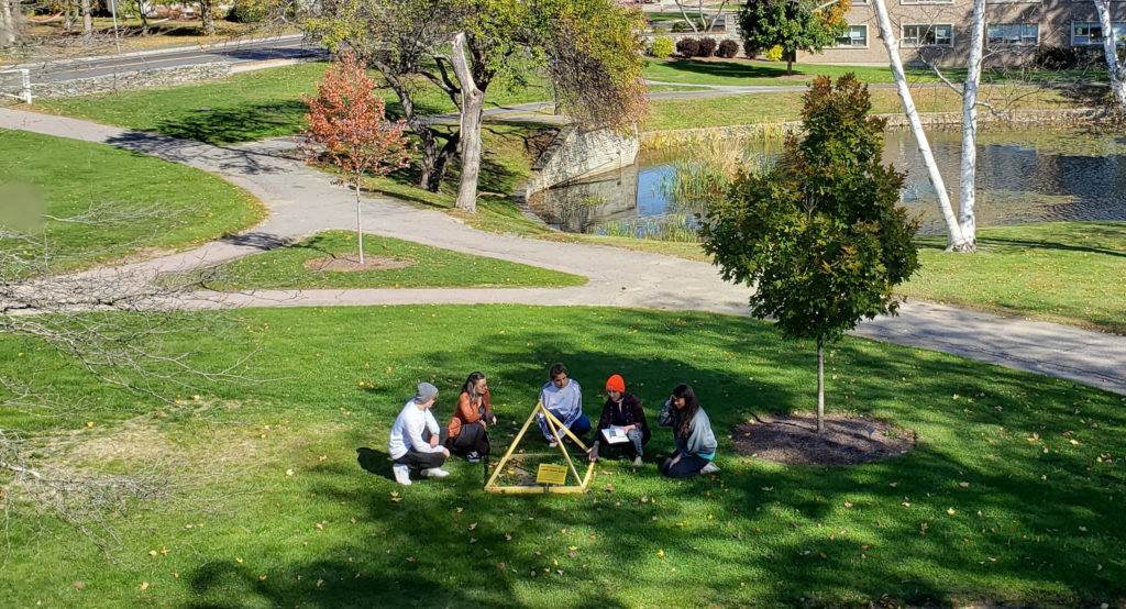 Lawn (Re)Disturbance Laboratory – A collaboration with seeds, time, and ...